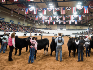 Young County Jr. Livestock Show 2020 - J & N Feed and Seed